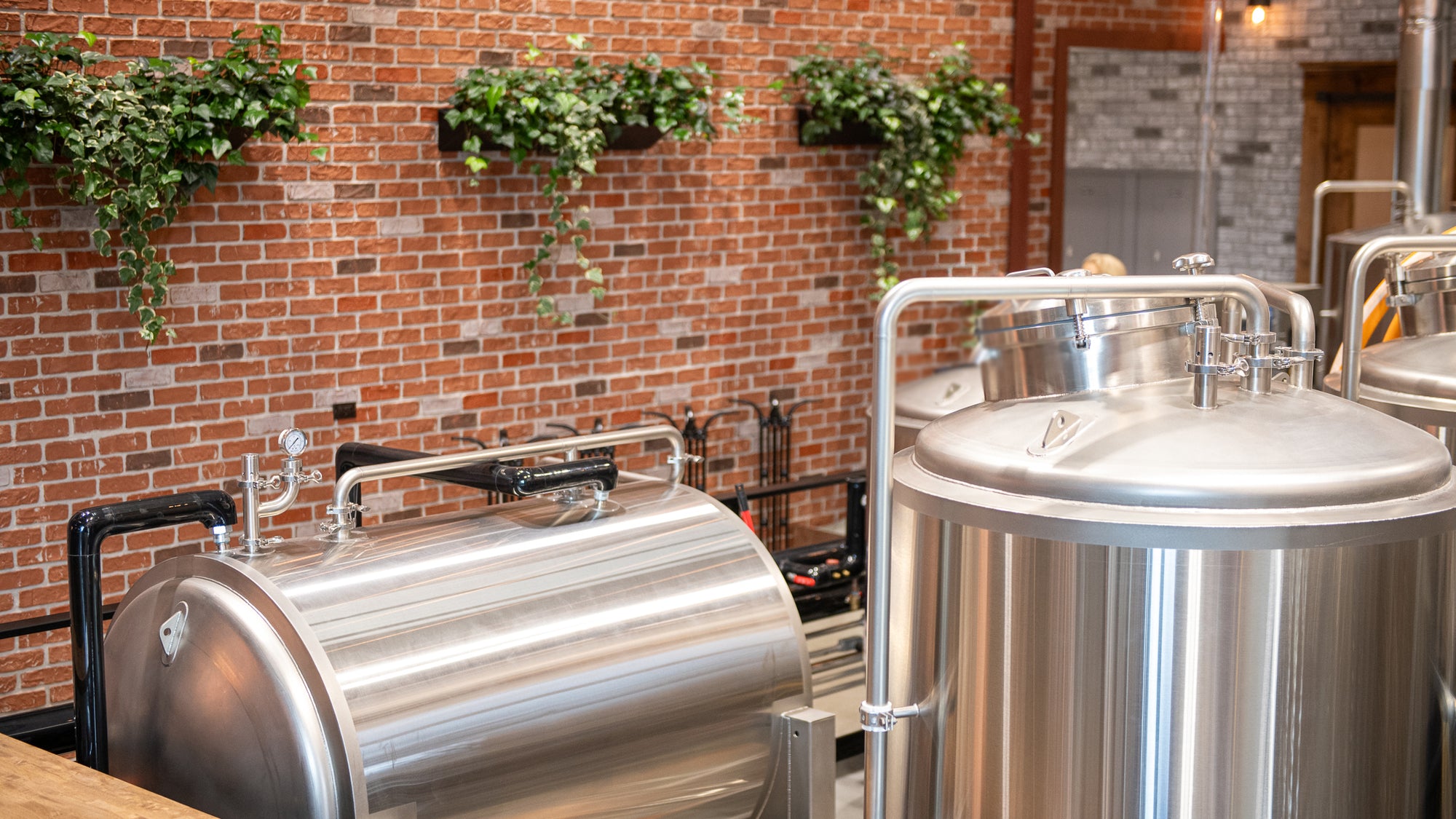 Brewery & Taproom – Primal House